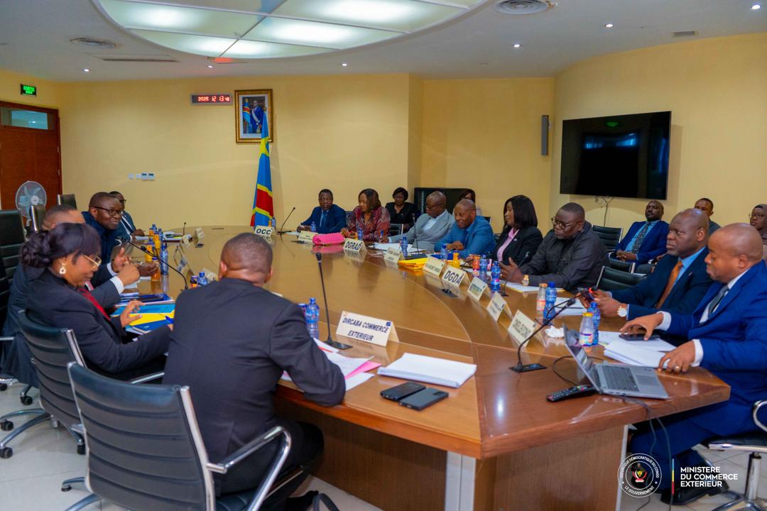 Guichet unique intégral du commerce extérieur-Guce en RDC:le comité de ...